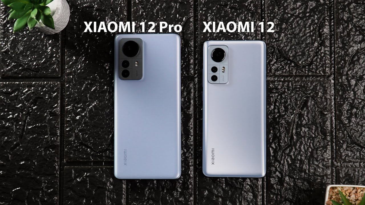PERBANDINGAN XIAOMI 12 vs XIAOMI 12 PRO, Mana Paling Value for Money ...