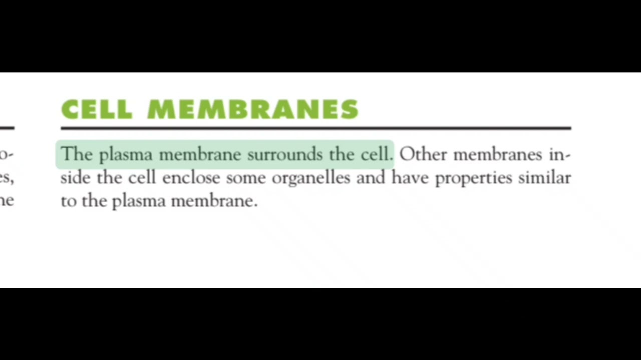 Cell membrane brief introduction 🤩 - YouTube