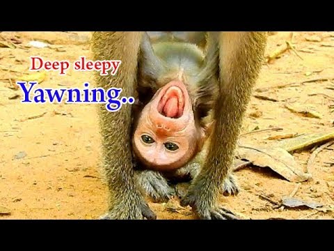 Pity mix funny in one clip | I can not stop laughing and breaking heart ...