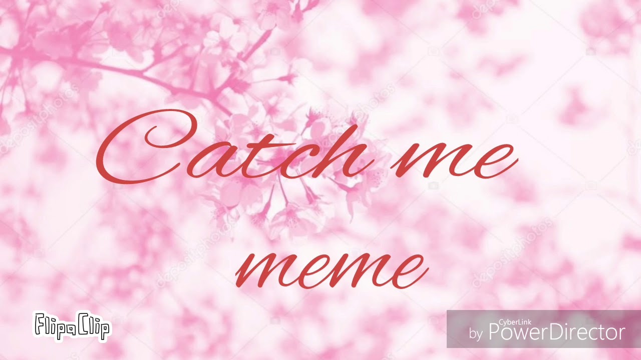 ♡Catch me meme*•°*♡ - YouTube