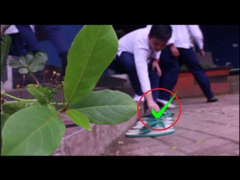 INILAH INHAR!! (Kebiasaan Baik INHAR)