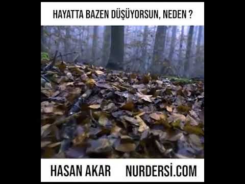 Hayatta Bazen Düşüyorsun, Neden؟  Hasan Akar - TEFEKKÜRHANE