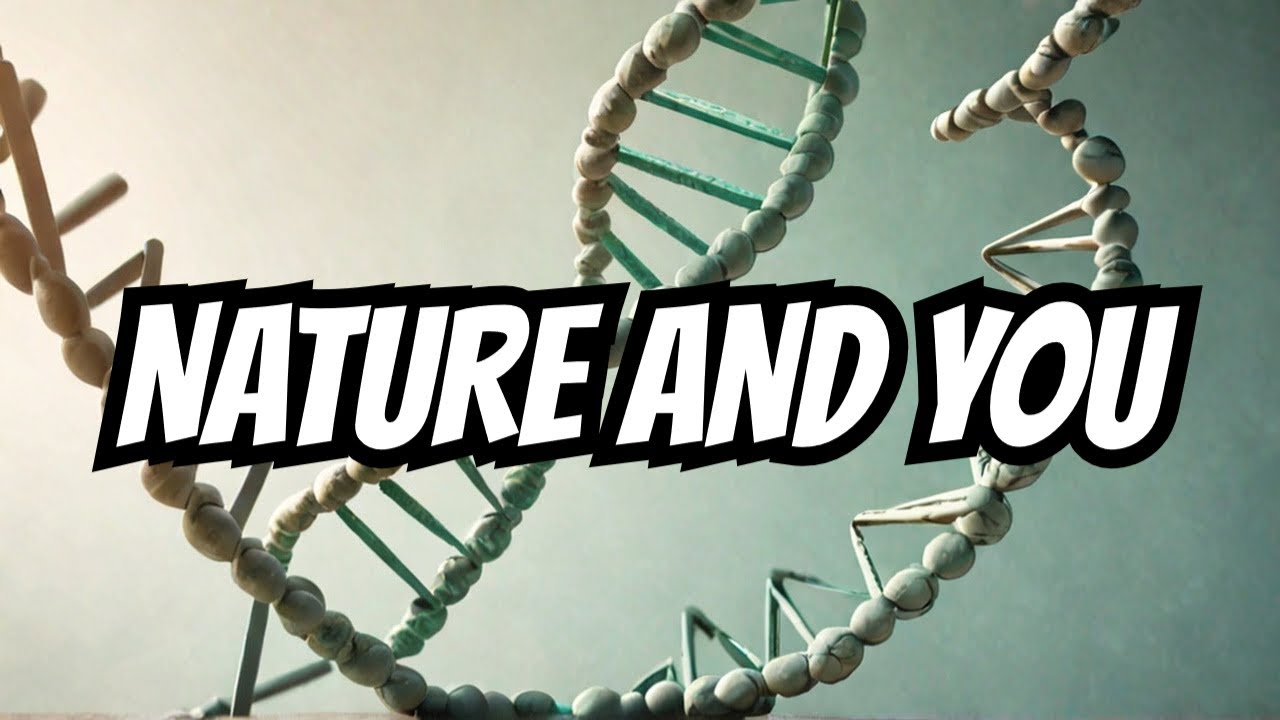 Epigenetics: How Behavior and Environment Influence Gene Function - YouTube