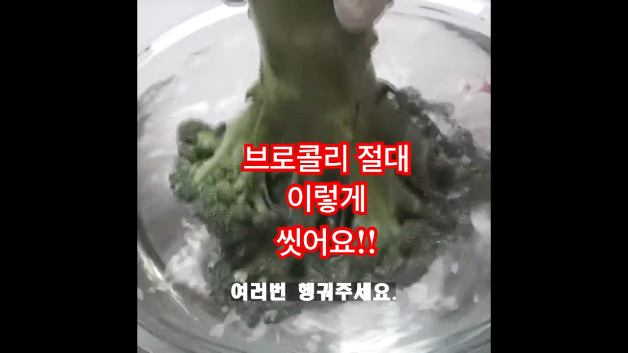 브로콜리 이렇게 씻었더니 세균이 싹 사라 집니다 브로콜리 브로콜리세척법 브로콜리세척 브로콜리찌기 브로콜리찌는법 Youtube