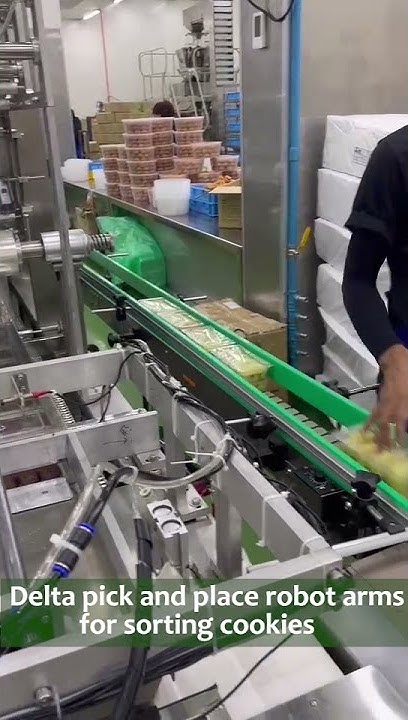 3 Axis Delta robot arm pick and place the cake at the factory site Part ...