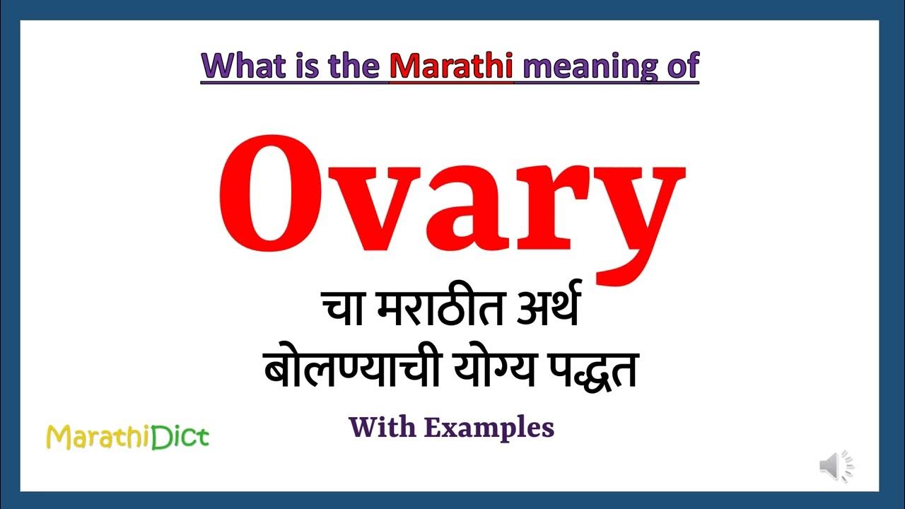 Ovary Meaning In Marathi Ovary Ovary In Marathi Dictionary YouTube ovary-meaning-in-marathi-ovary-ovary-in-marathi-dictionary-youtube