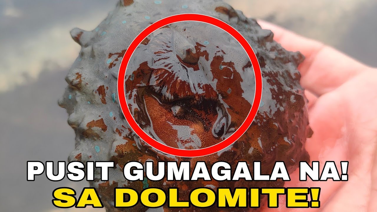 ANO BA ITO? MABUHOK NA KINAKAIN MANILA BAY!! - YouTube