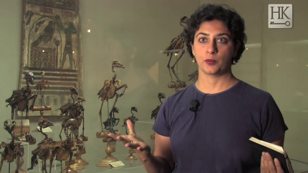 Dr:- Salima Ikram Shares the Secrets of Egypts Animal Cults 米娜 - YouTube