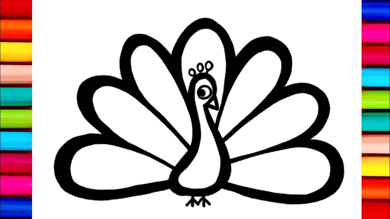 Peacock Drawing || How to Draw A Peacock Drawing | Peacock Drawing Step ...