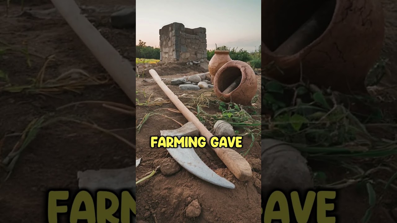 Did You Know How Agriculture Was Discovered? #discovery #facts # ...