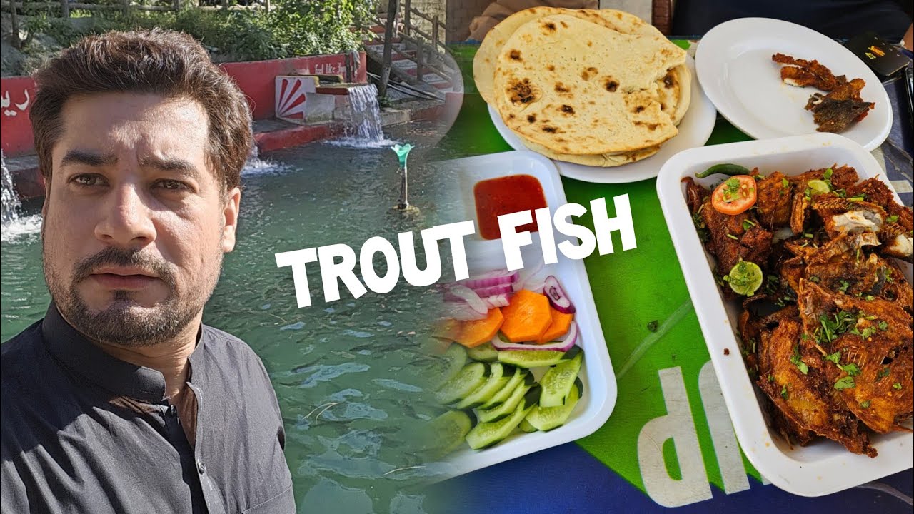Day 3 || Part 2 || Kalam Tour || Madyan Firm || Trout Fish || kpk - YouTube
