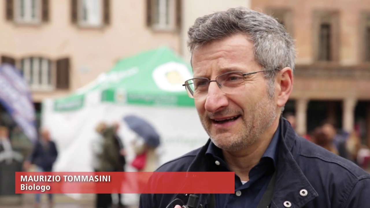 Intervista a Maurizio Tommasini | #foodscience2019 - YouTube