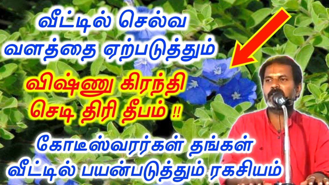 வீட்டில் செல்வ வளத்தை ஏற்படுத்தும் விஷ்ணு கிரந்தி திரி தீபம் | Selvam ...