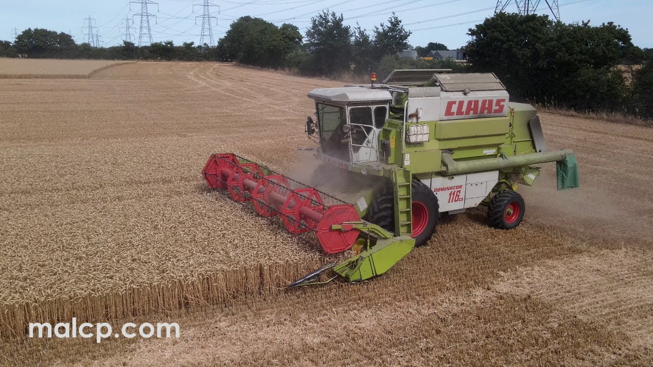 Harvest 2022: Claas Dominator 116CS cutting wheat in Suffolk - YouTube