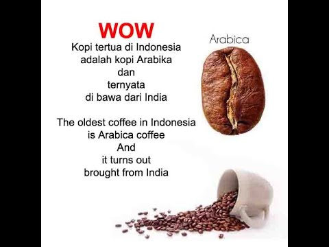 SEJARAH KOPI DI JAWA BARAT /THE HISTORY OF COFFEE IN WEST JAVA - YouTube