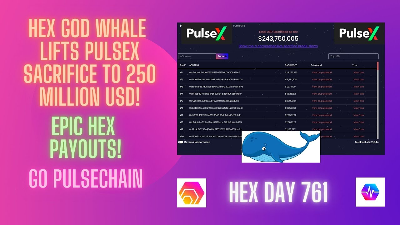Hex God Whale Lifts PulseX Sacrifice To 250 Million USD! Epic Hex ...