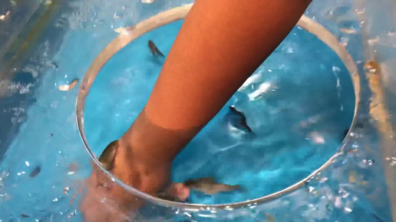 Doctor Fish - YouTube