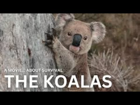 Q & A with co-director (with Gregory Miller) Georgia Wallace-Crabbe for ...