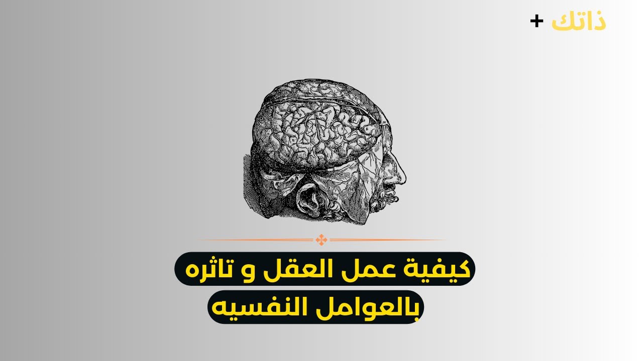 أسرار العقل البشري كيف يعمل الدماغ؟ Youtube