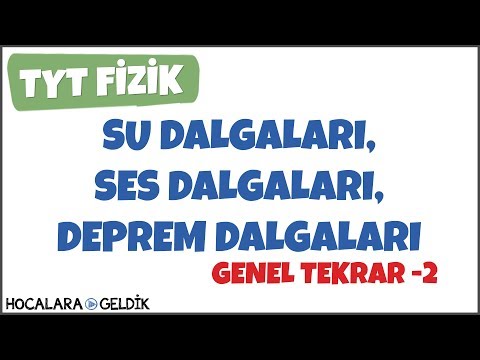 Su Dalgaları, Ses Dalgaları, Deprem Dalgaları