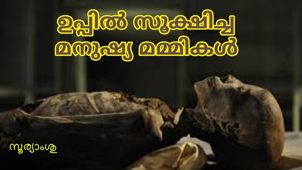 A mummy is a person or animal whose body has been dried or otherwise ...