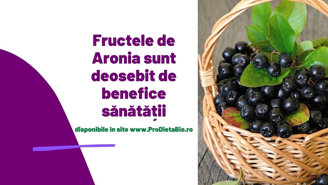 Aronia suc și fructe deshidratate proprietăți și beneficii pentru ...
