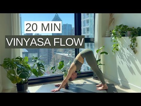 20 Min Vinyasa Flow | Breathe & Flow | All Levels - YouTube