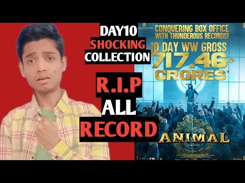 Animal Day 10 Box Office Collection | Animal Day 10 Official Worldwide ...