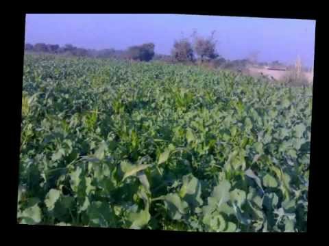 Azakhel Payan The Land of Colors - YouTube