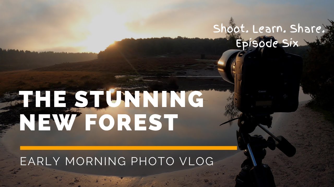 New Forest Photography Vlog - STUNNING New Forest National Park - YouTube