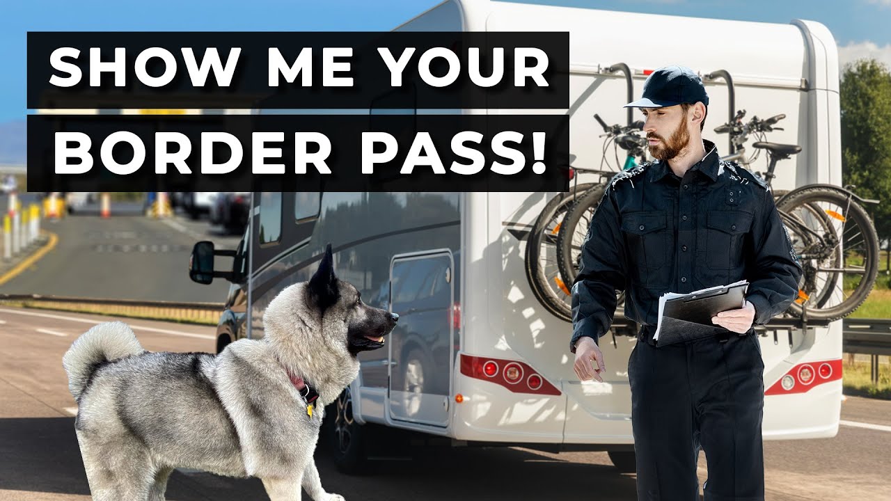Don't Ruin Your Trip! NEW Strict Dog Reentry Border Rules - YouTube