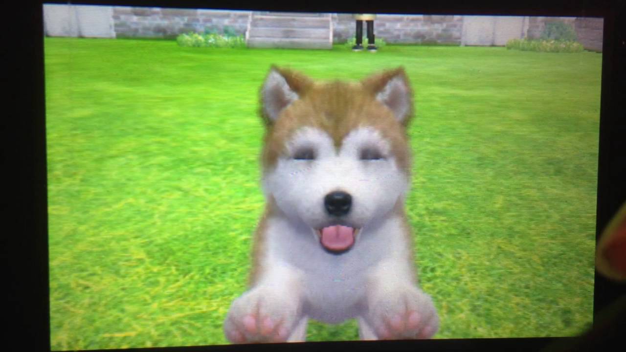 Nintendogs+Cats | on gagne plus de 200€ en même pas 5 min !!!!! - YouTube