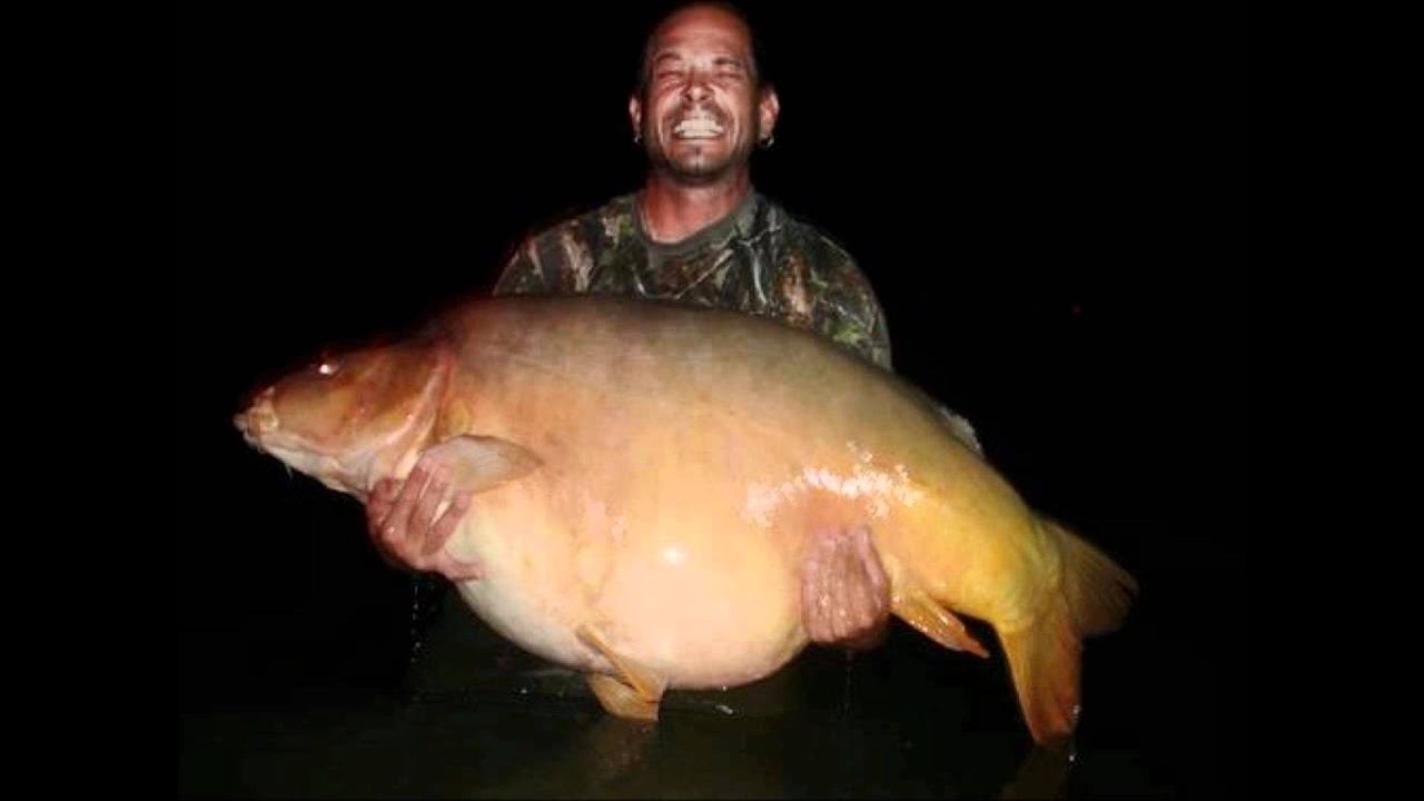 New World Record Carp! 101lbs - Hungary - June 2012 - YouTube