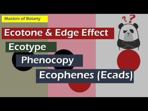 Confusing Terms | Ecotype | Ecophene | Ecads | Phenocopy | Ecotone ...