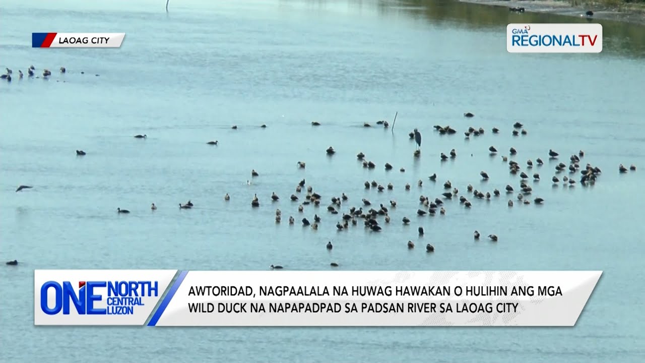 One North Central Luzon: Awtoridad, nagpaalala na huwag hulihin ang mga ...