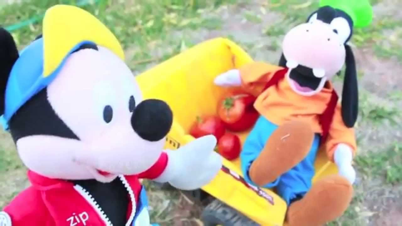 MINNIE MOUSE Makes Dinner for MICKEY Mouse Clubhouse Tomato Garden ...