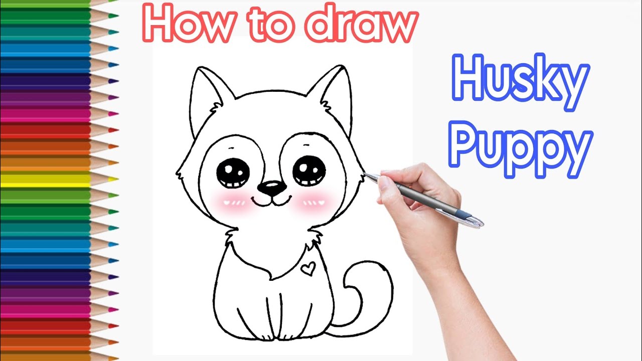 How To Draw A Cute HUSKY PUPPY Clipart,To Draw step by step, DL cute ...