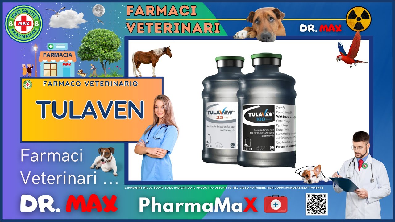 🐶 TULAVEN Farmaco Veterinario a cosa serve ? - Foglietto Illustrativo ...