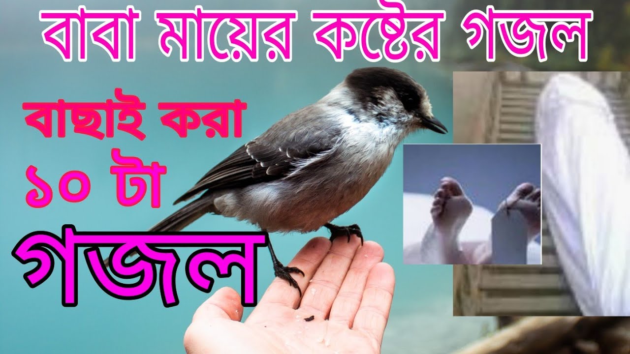 মায়ের গজল, মা বাবার গজল Islamic song, Mayar gojol, ma babar gojol ...