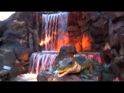 Alligator at Disney - YouTube