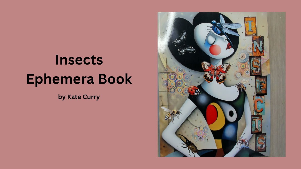 Insects Ephemera Book by Kate Curry. - YouTube