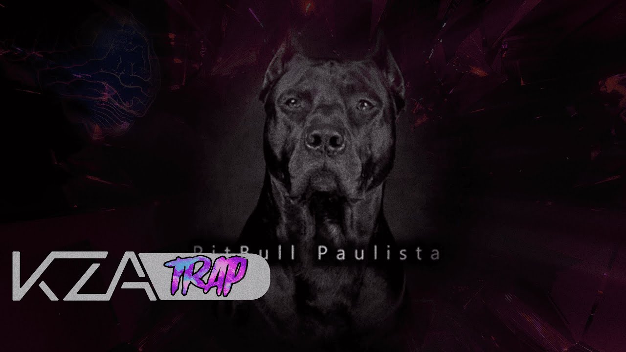 Pitbull Paulista · MC SK · Raphaelz · Duk · Mc Se7 Copas - YouTube