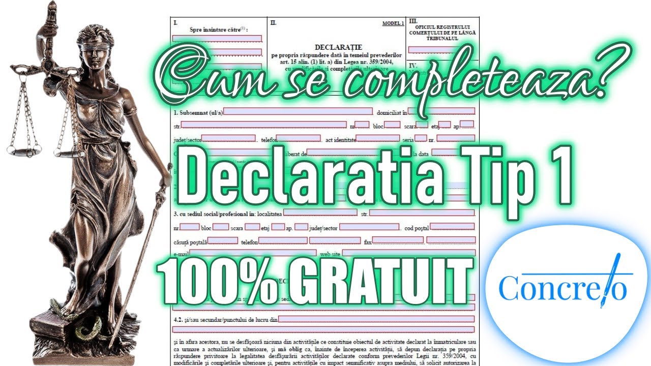 Cum se completeaza Declaratia Tip Model 1 | Tutorial Declaratie Tip ...