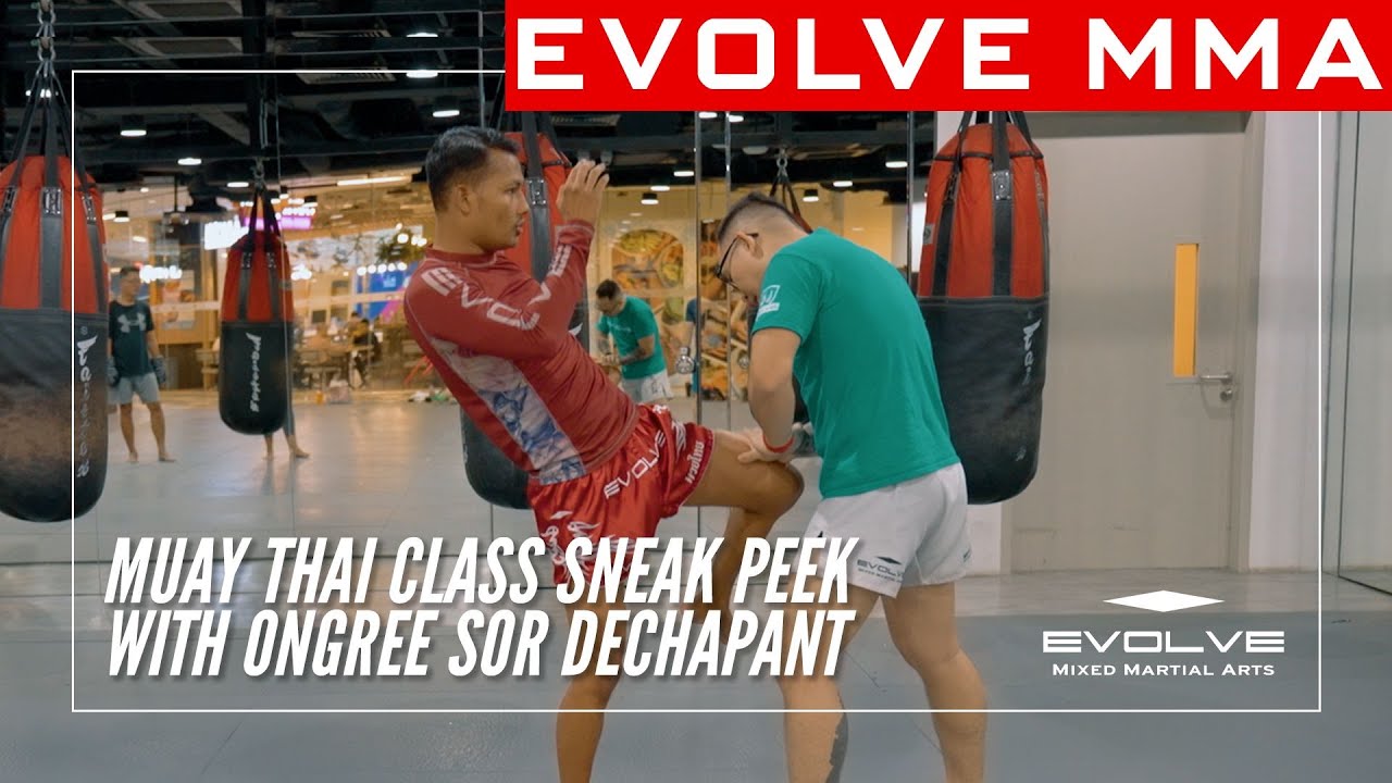 Muay Thai Class Sneak Peek At Evolve Kinex! - YouTube