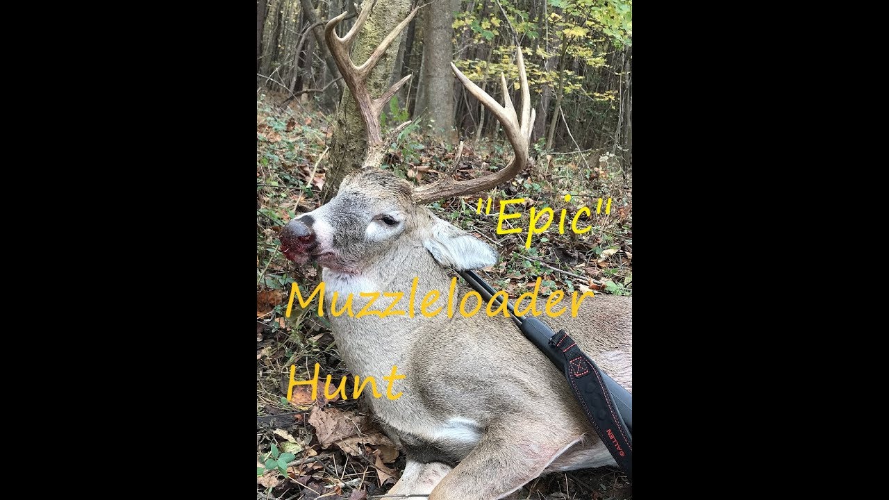 November Whitetails EP#2 2019/How to Hunt the rut/ Box stand deer hunt ...