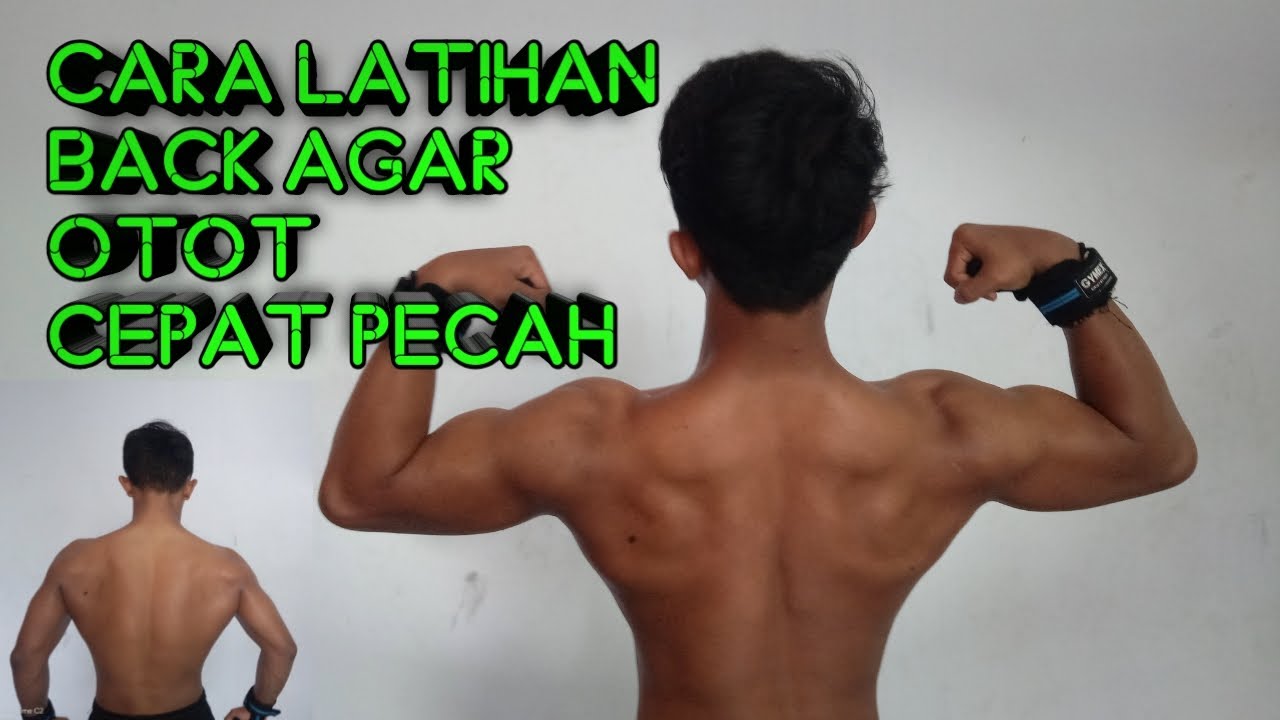Latihan otot punggung / back agar otot cepat pecah - YouTube