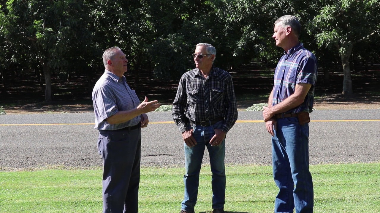 Life of a Walnut Farmer: Durham, California - YouTube
