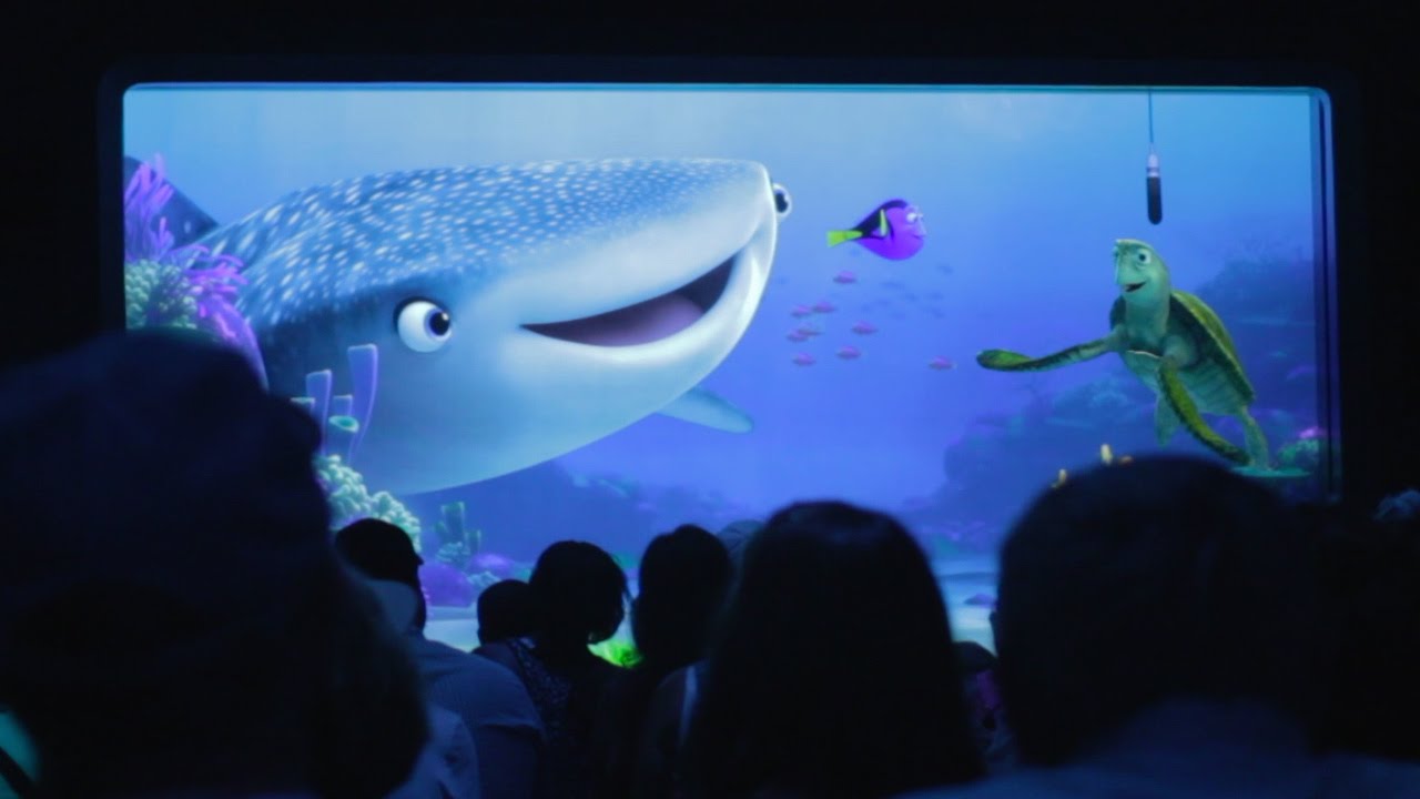 Turtle Talk with Crush and Dory, Epcot, Walt Disney World Resort - YouTube
