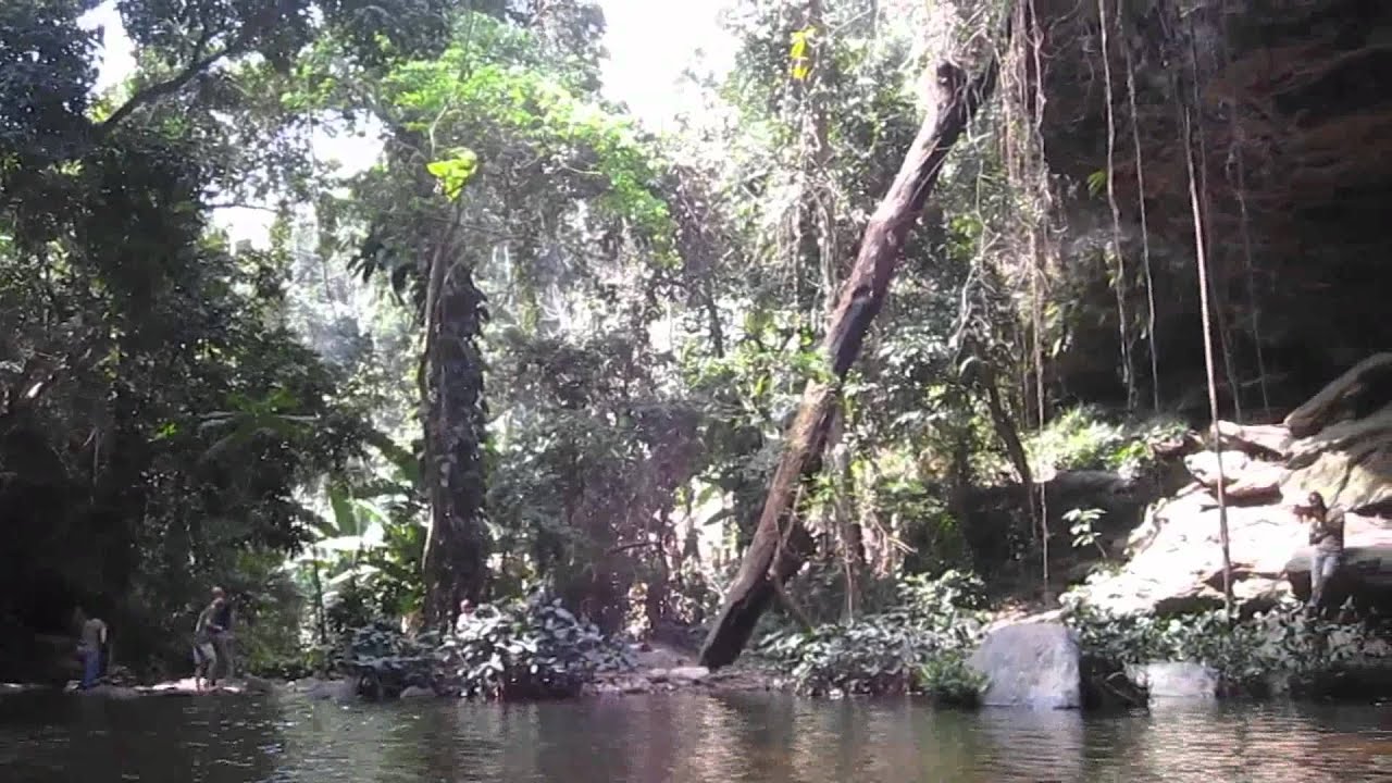 forêts du Togo, Balades autour de Kpalimé - YouTube