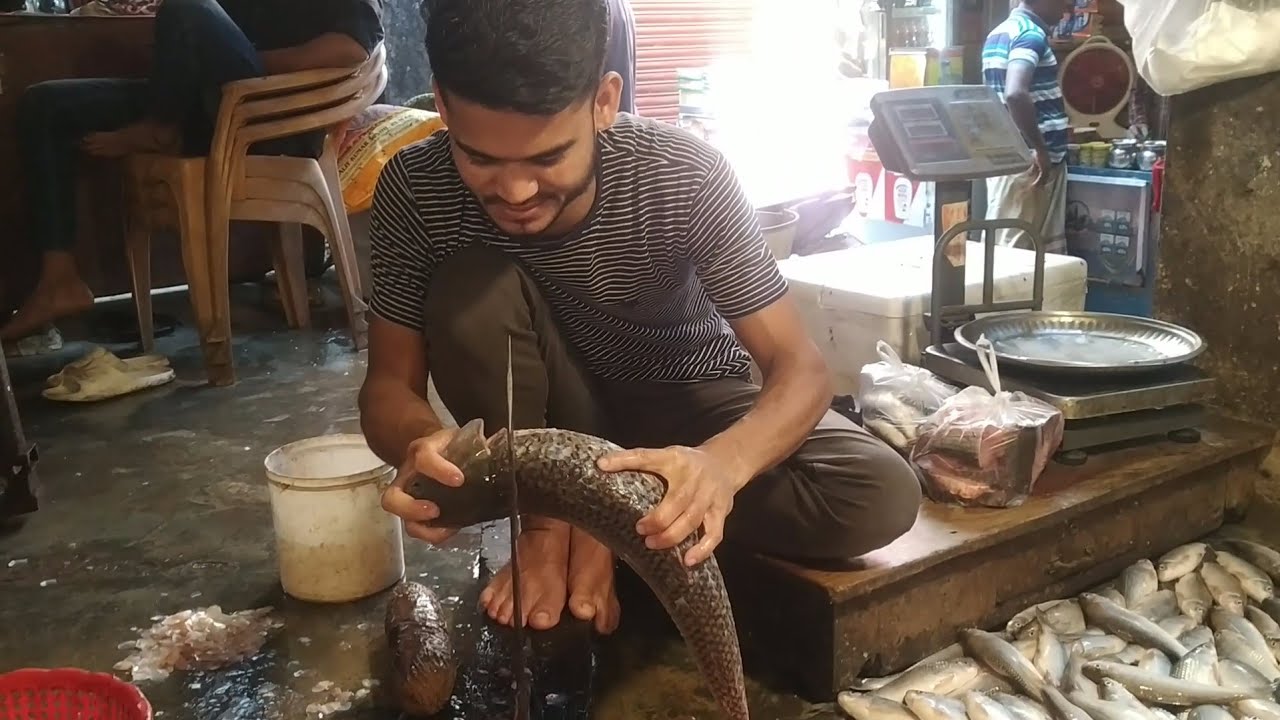 Live Fish Cutting Skills in Fish Market 2023 Fastest Fish Cutting part ...